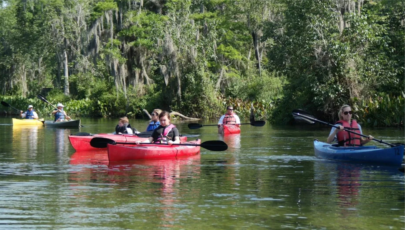 Discover the Magic of Paddling on the Wakulla River - Historic Quincy ...